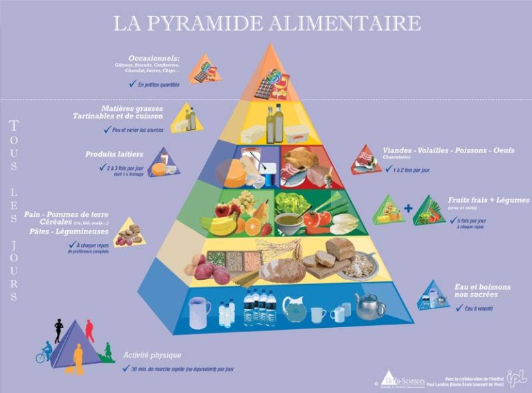 Les groupes alimentaires